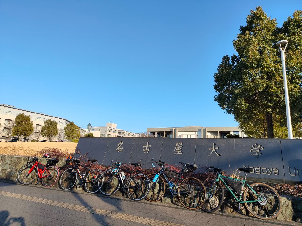 いちご狩りラン | NUCC 名古屋大学サイクリング部